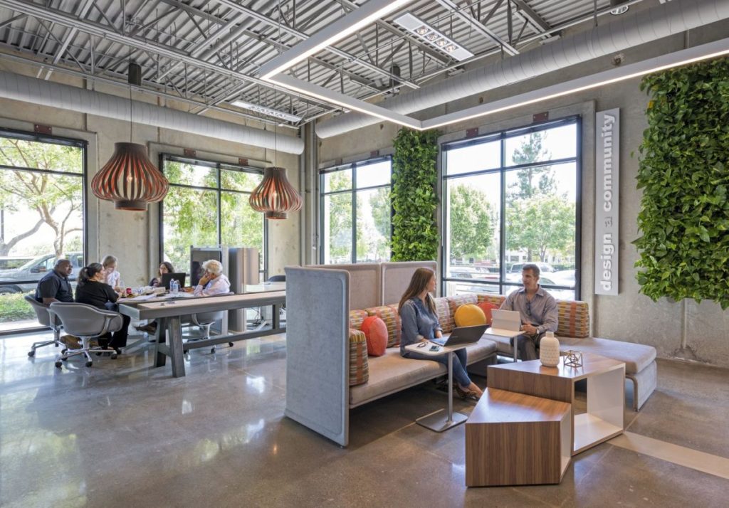 Green Walls - A Cool Design Accent For Offices With Personality