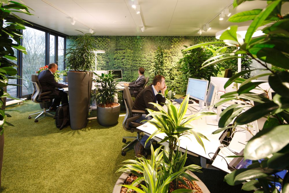Green Walls - A Cool Design Accent For Offices With Personality