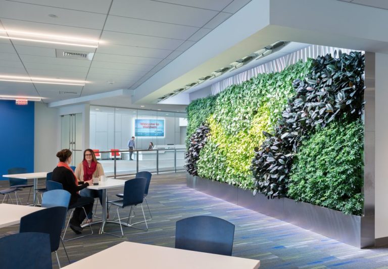 Green Walls - A Cool Design Accent For Offices With Personality