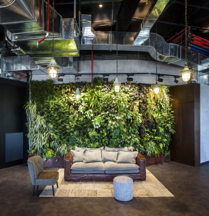Green Walls - A Cool Design Accent For Offices With Personality