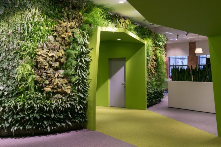 Green Walls - A Cool Design Accent For Offices With Personality